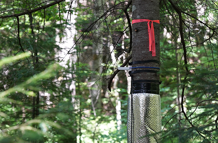 going with the flow - .able Journal