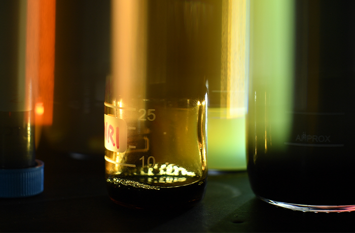 alchemy of color - .able Journal